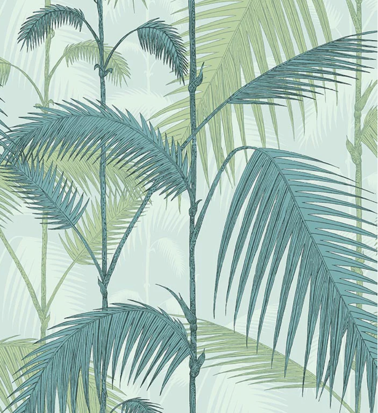 Cole & Son | Palm Jungle Icons – Celedore